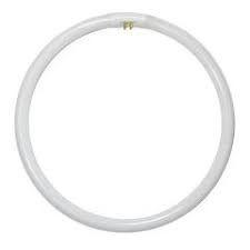 Circular Fluorescent Tube | Ring light | delight.com.sg – DELIGHT ...
