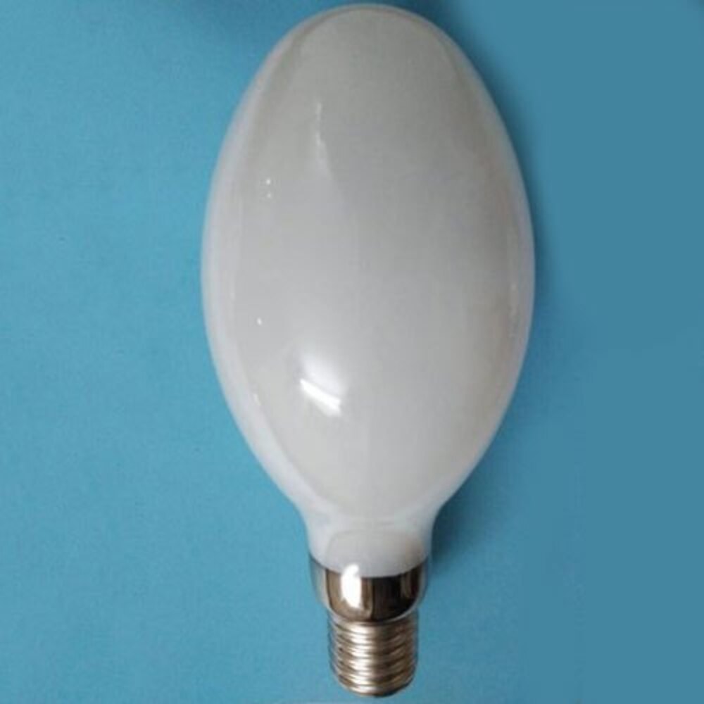 Nikkon HPMV High Pressure Mercury Vapor Lamp 400W 4200K – DELIGHT ...