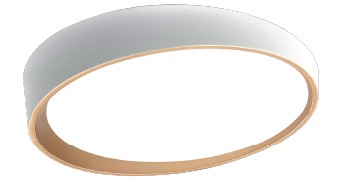 BK Casing for Round Ceiling Light Without Bulb – DELIGHT ...