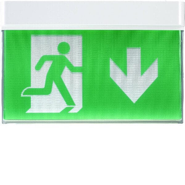 STAHL Explosion Proof Recessed Exit Led Light – DELIGHT OptoElectronics ...