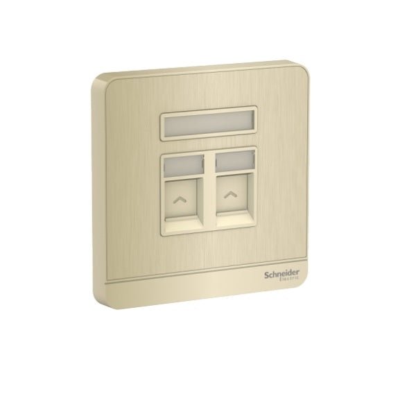Schneider AvatarOn, RJ45, cat6e, shuttered, data socket, – DELIGHT ...